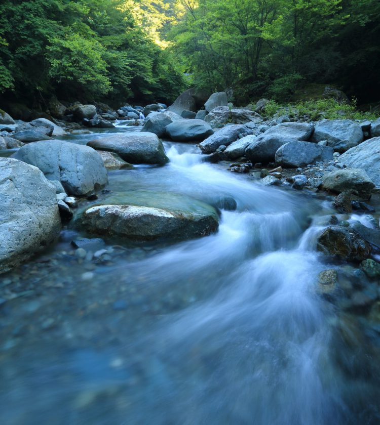 Philip Aziz Centre & Emily’s House | Toronto, ON